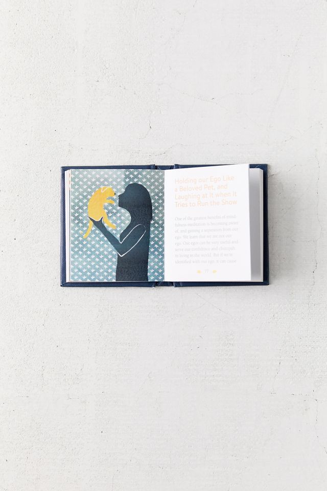 The Mini Book of Mindfulness: Simple Meditation Practices to Help You ...