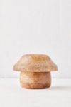 Mushroom Wood Stash Box | Urban Outfitters Canada