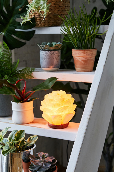 Succulent Himalayan Salt Lamp | Urban Outfitters
