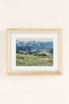 Hillary Murphy Wildflower Meadow Art Print | Urban Outfitters