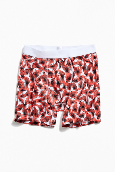 Parrot Boxer Brief | Urban Outfitters