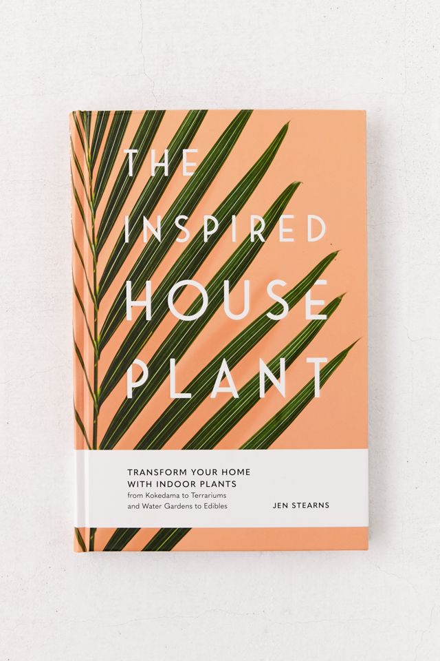 The Inspired Houseplant By Jen Stearns | Urban Outfitters
