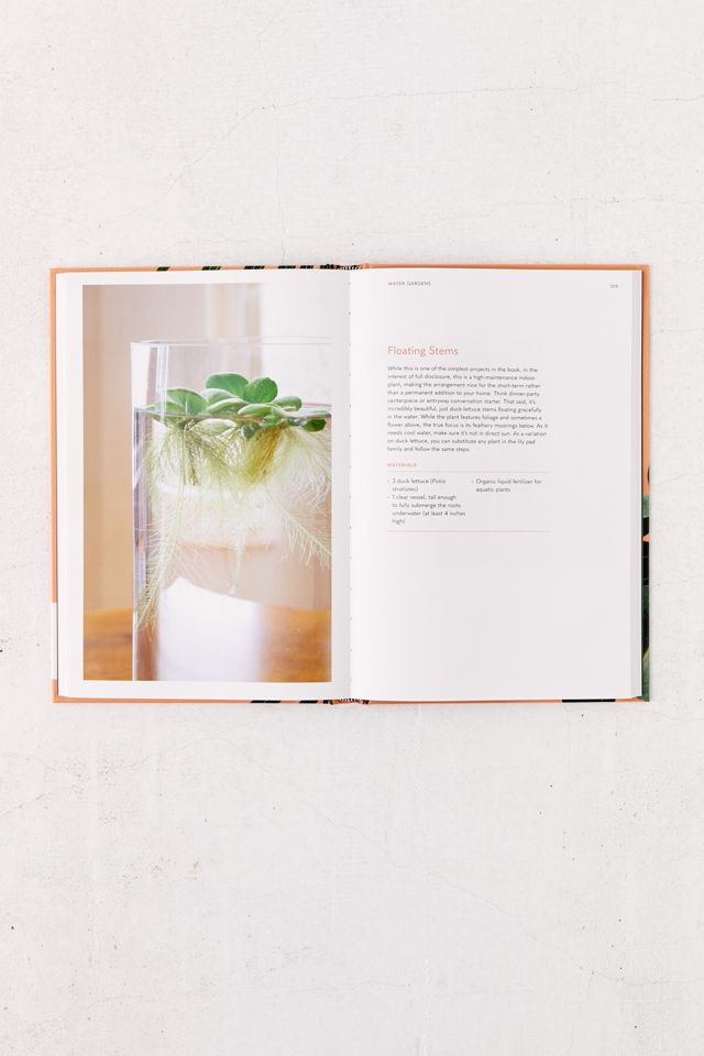 The Inspired Houseplant By Jen Stearns | Urban Outfitters