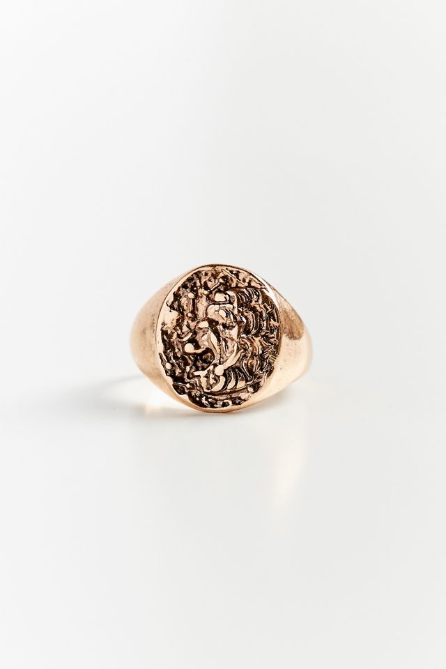 Mia Colona & UO Exclusive Lion Signet Ring | Urban Outfitters Canada