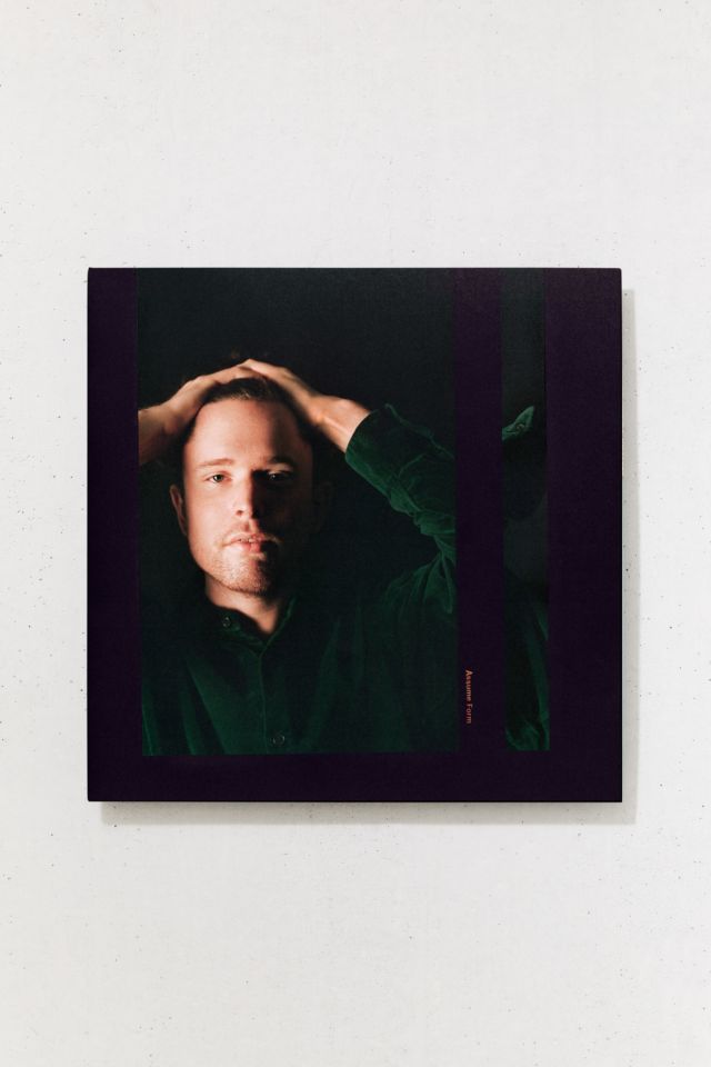 James Blake Assume Form 2xlp Urban Outfitters Canada