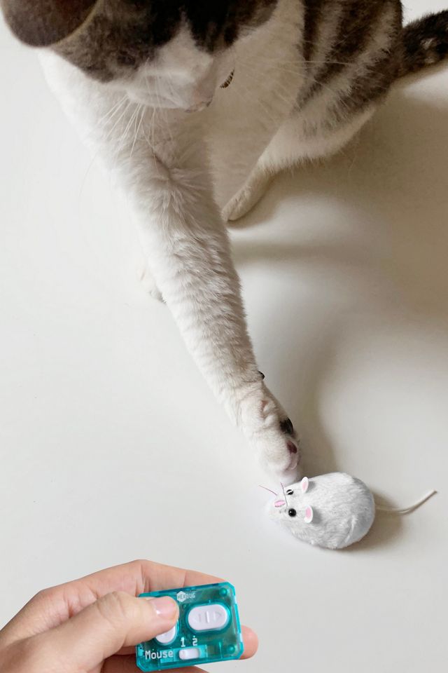 HEXBUG Remote Control Mouse Cat Toy | Urban Outfitters