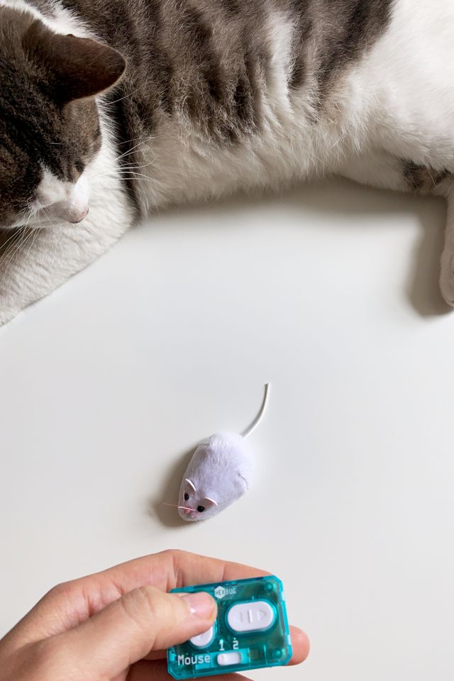 HEXBUG Remote Control Mouse Cat Toy | Urban Outfitters