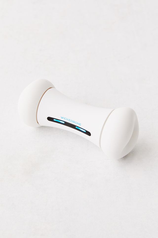 Cheerble Wickedbone Dog Toy | Urban Outfitters Canada