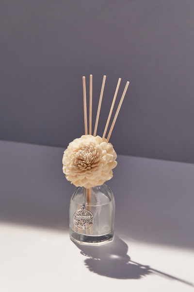 Octagon Sola Reed Diffuser | Urban Outfitters Canada
