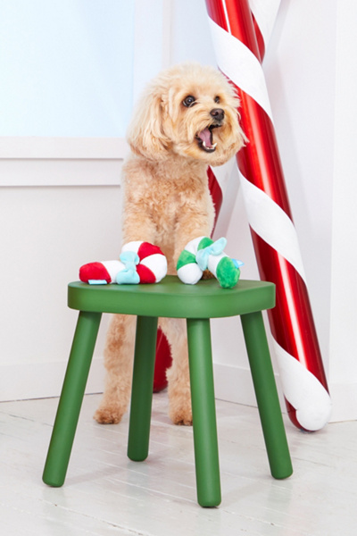 BARK Merri-mints Dog Toy | Urban Outfitters