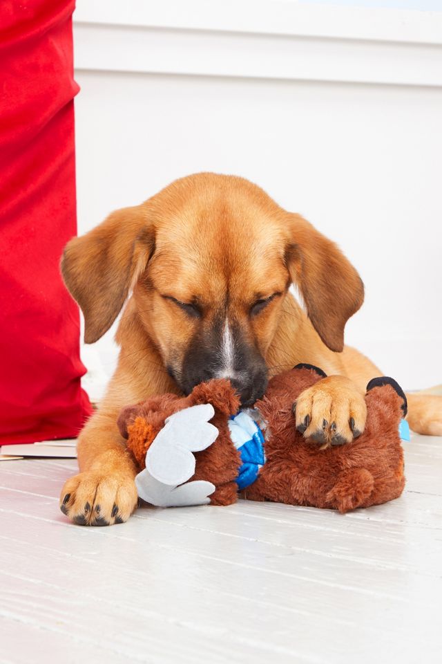 BARK Prancin’ Perry Dog Toy | Urban Outfitters