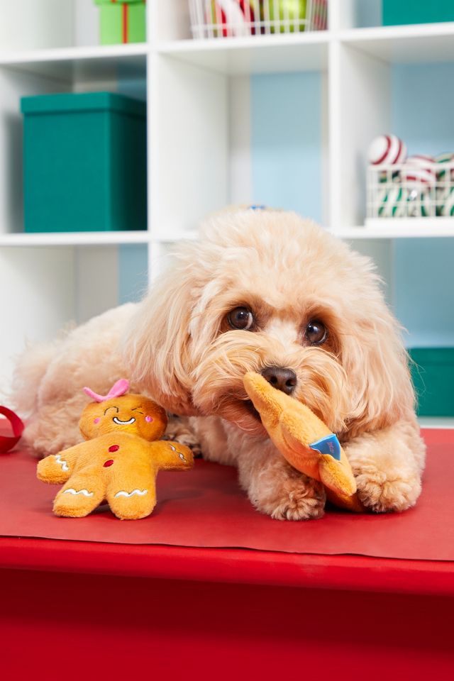 BARK Ginger and Roger Dog Toy | Urban Outfitters