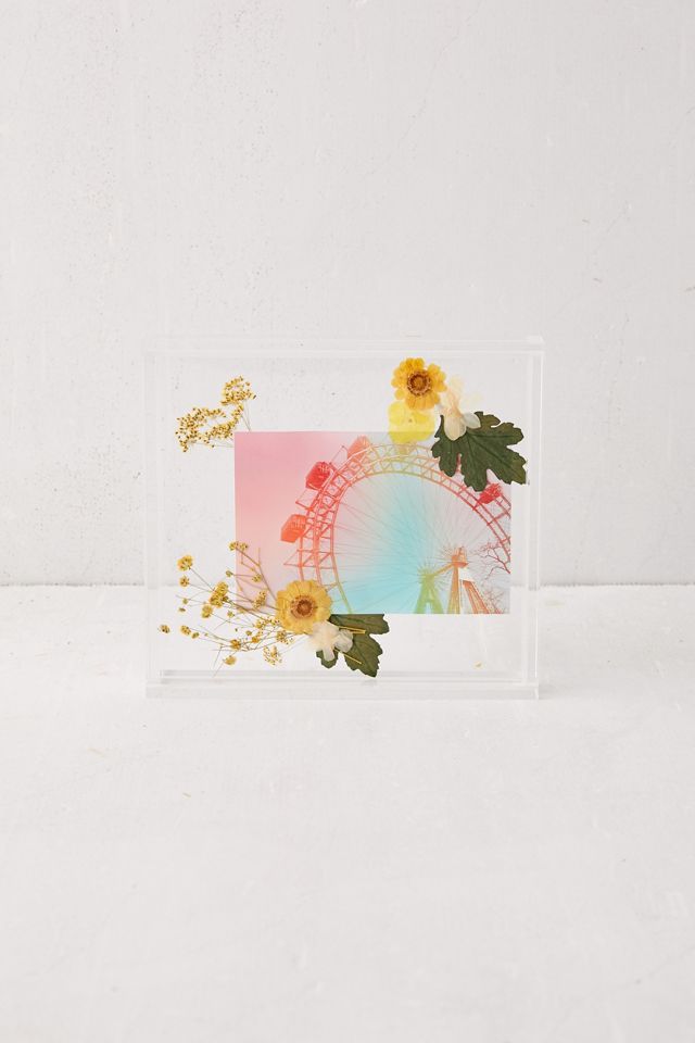 Pressed Floral 7x8 Picture Frame | Urban Outfitters Canada