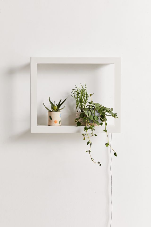 Modern Sprout Growframe | Urban Outfitters