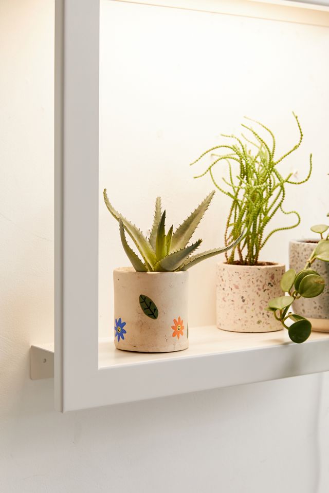 Modern Sprout Growframe | Urban Outfitters