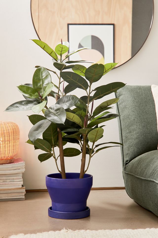 Potted Rubber Tree Faux Plant | Urban Outfitters