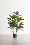 Potted Rubber Tree Faux Plant | Urban Outfitters