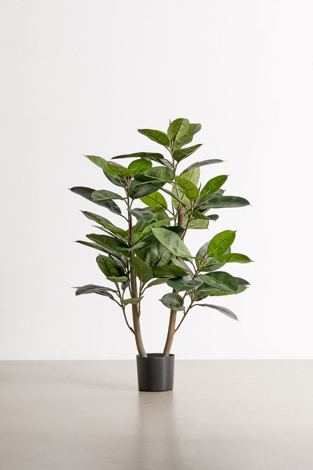 Potted Rubber Tree Faux Plant | Urban Outfitters