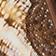 Lace Corsets | Urban Outfitters