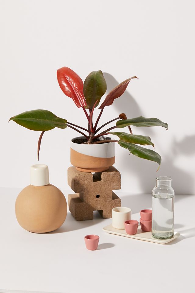 Lagos del Mundo Glazed Ceramic Planter | Urban Outfitters Canada
