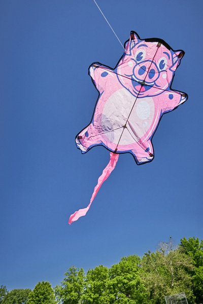 Wild & Wolf Pig Kite | Urban Outfitters