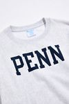 Champion University Of Pennsylvania Crew Neck Sweatshirt | Urban Outfitters