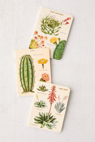 cavallini-papers-mini-notebook-set-urban-outfitters