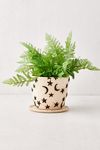 Estrella Planter And Tray | Urban Outfitters