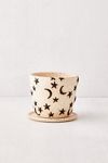 Estrella Planter And Tray | Urban Outfitters