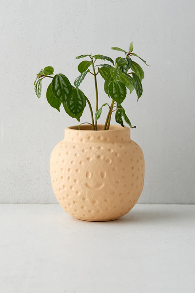 Sun Face Planter | Urban Outfitters