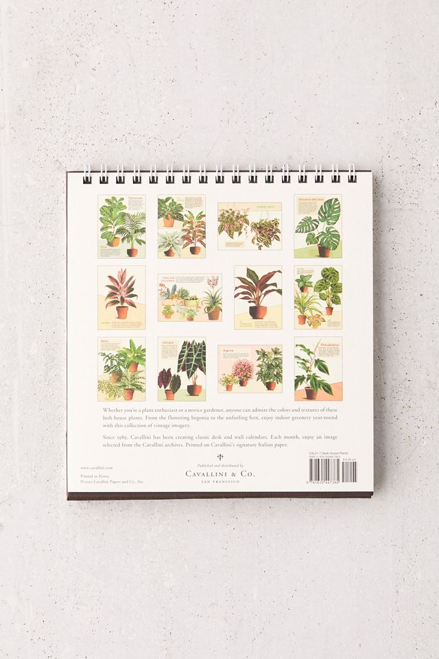 Cavallini Papers 2021 12-Month Desk Calendar | Urban Outfitters Canada