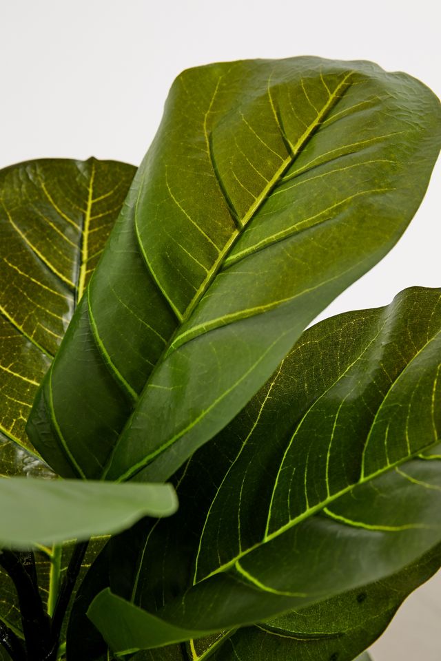 Potted Rubber Tree Faux Plant | Urban Outfitters