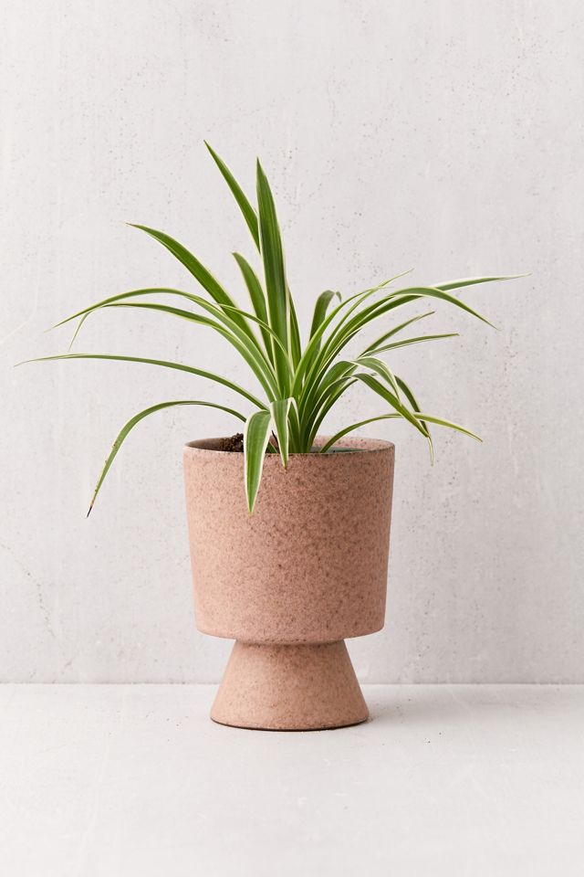 Ceramic Flared Base Planter | Urban Outfitters Canada