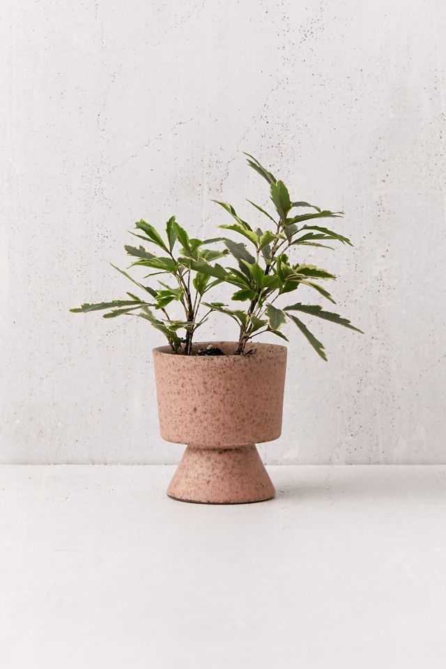 Ceramic Flared Base Planter | Urban Outfitters Canada
