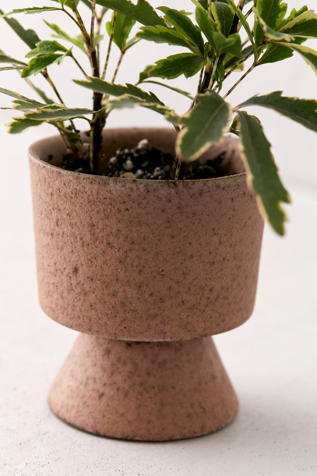 Ceramic Flared Base Planter | Urban Outfitters Canada