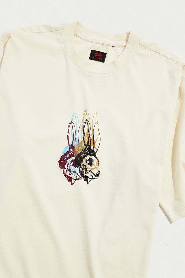 Levi’s Skate Graphic Boxy Tee | Urban Outfitters