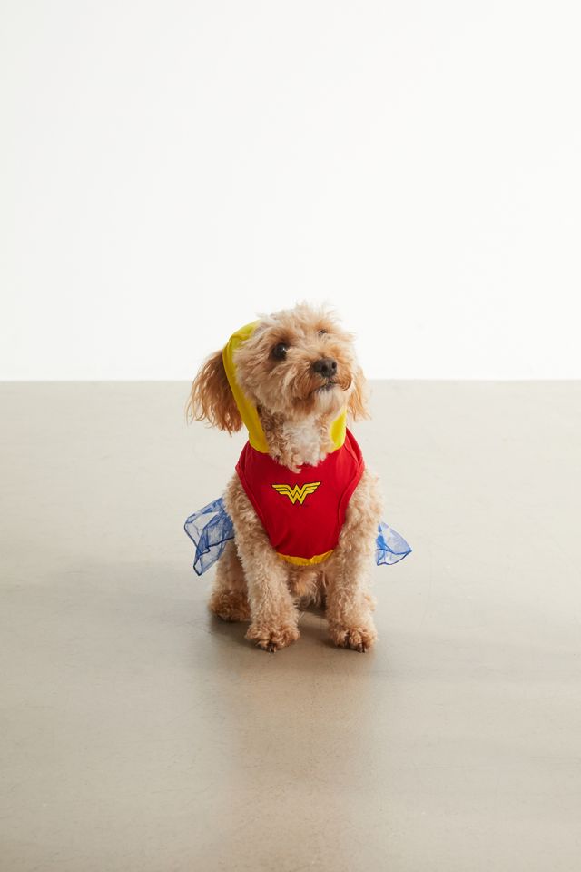 DC Comics Wonder Woman Dog Halloween Costume | Urban Outfitters
