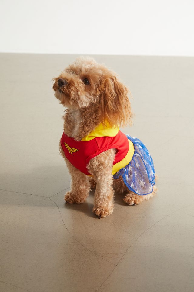 DC Comics Wonder Woman Dog Halloween Costume | Urban Outfitters