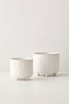 Moon Phase Planter - Set Of 2 | Urban Outfitters
