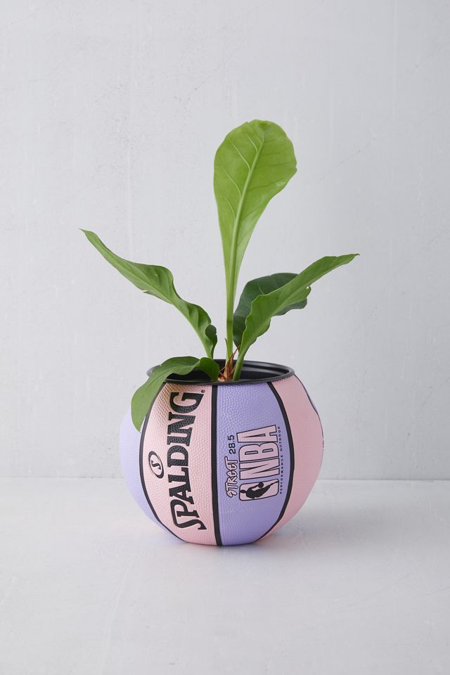 Ol’ Dirty Planters Basketball Planter | Urban Outfitters