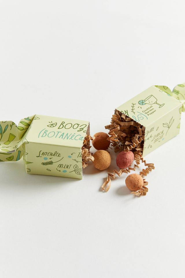 Modern Sprout Seed Popper Kit | Urban Outfitters