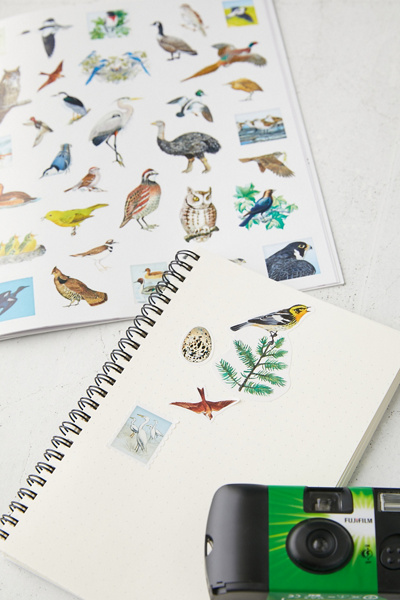 Outdoor School: Spot & Sticker Birds By Odd Dot | Urban Outfitters