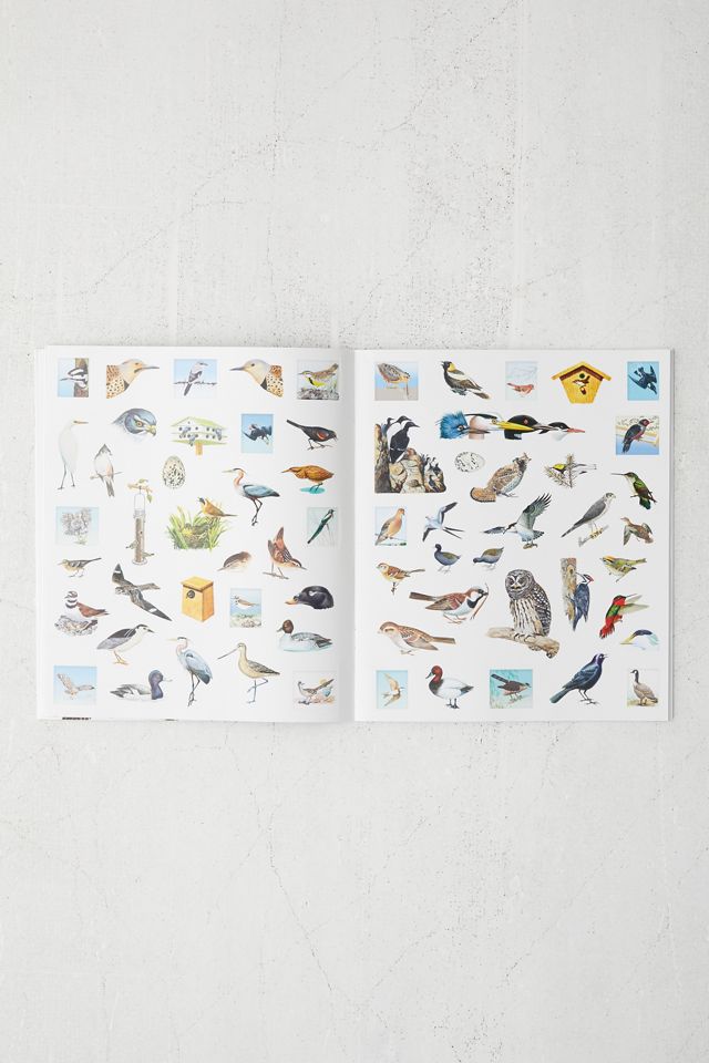 Outdoor School: Spot & Sticker Birds By Odd Dot | Urban Outfitters