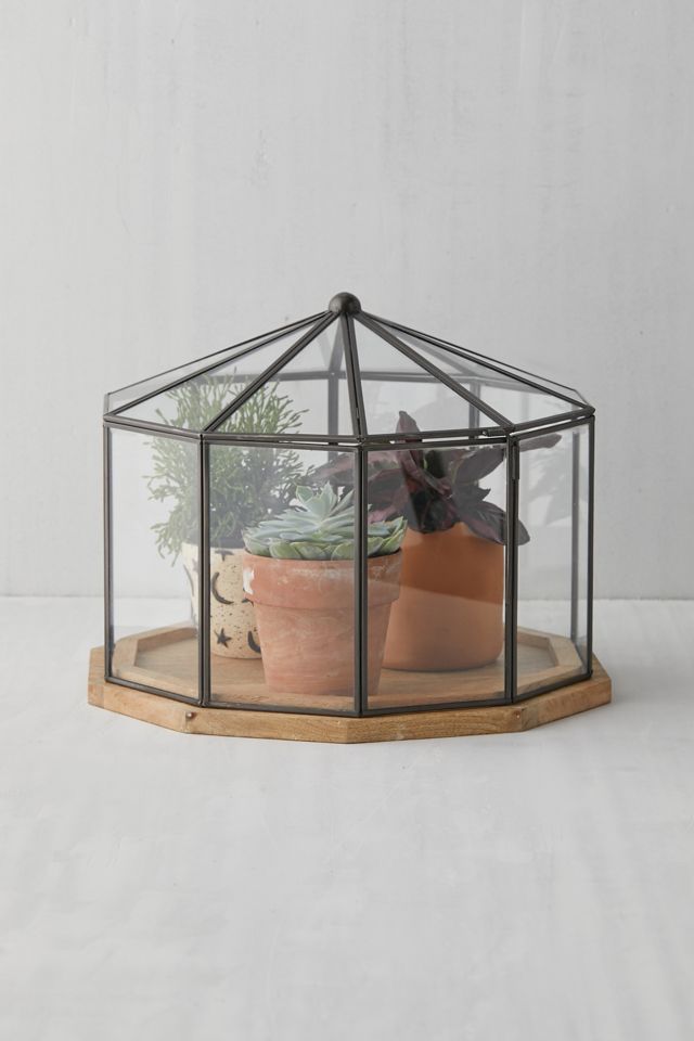 Tabletop Greenhouse | Urban Outfitters