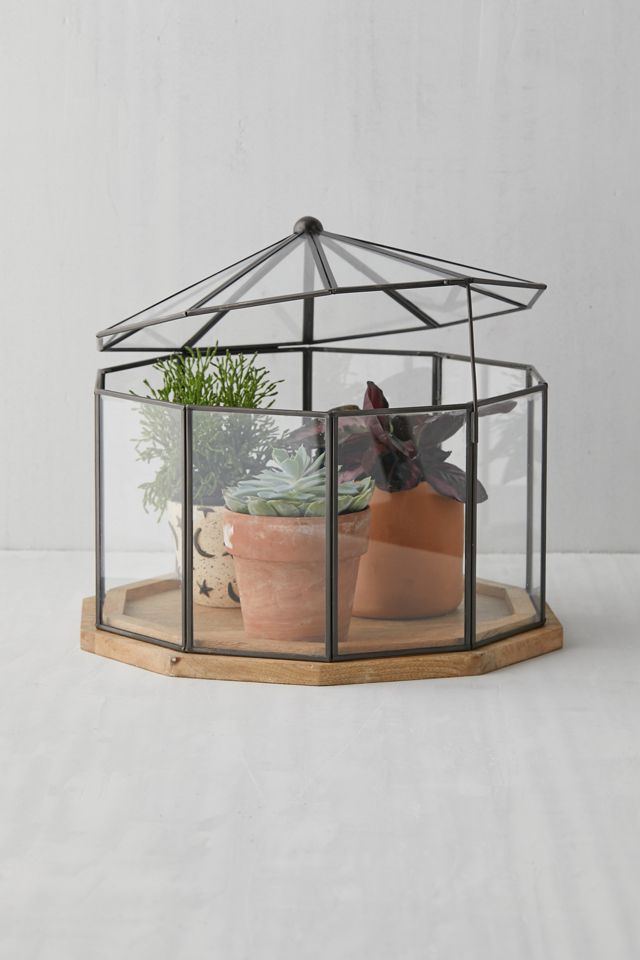 Tabletop Greenhouse | Urban Outfitters