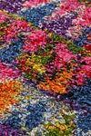 Zoya Shag Rug | Urban Outfitters