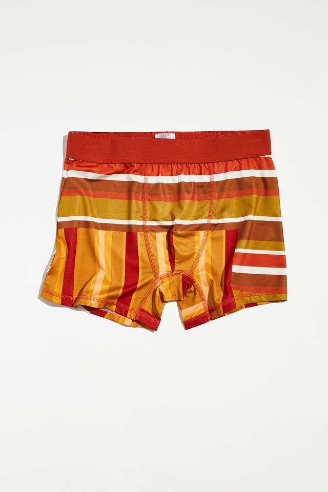 Double Stripe Boxer Brief | Urban Outfitters