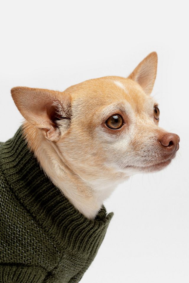 Silver Paw Dog Chase Sherpa Lined Sweater | Urban Outfitters