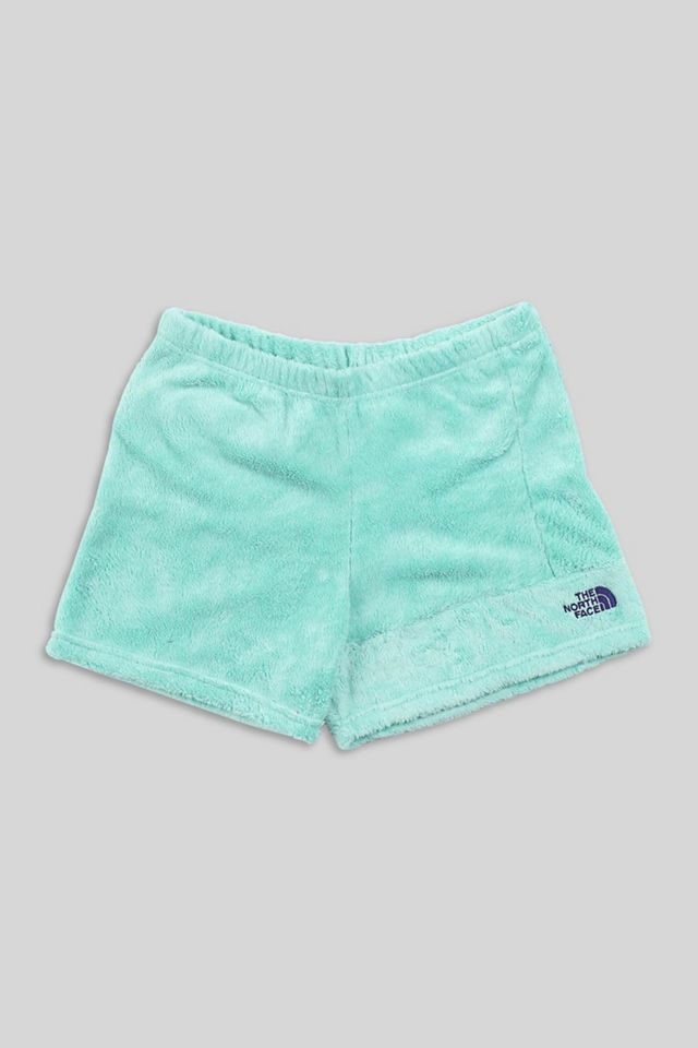 Frankie Collective Rework North Face Fuzzy Shorts 017 | Urban Outfitters