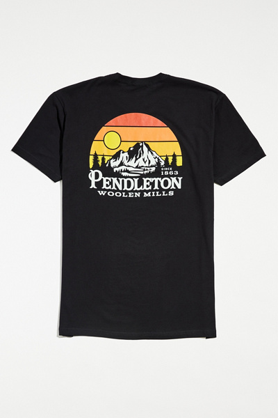 Pendleton Sunset Tee | Urban Outfitters